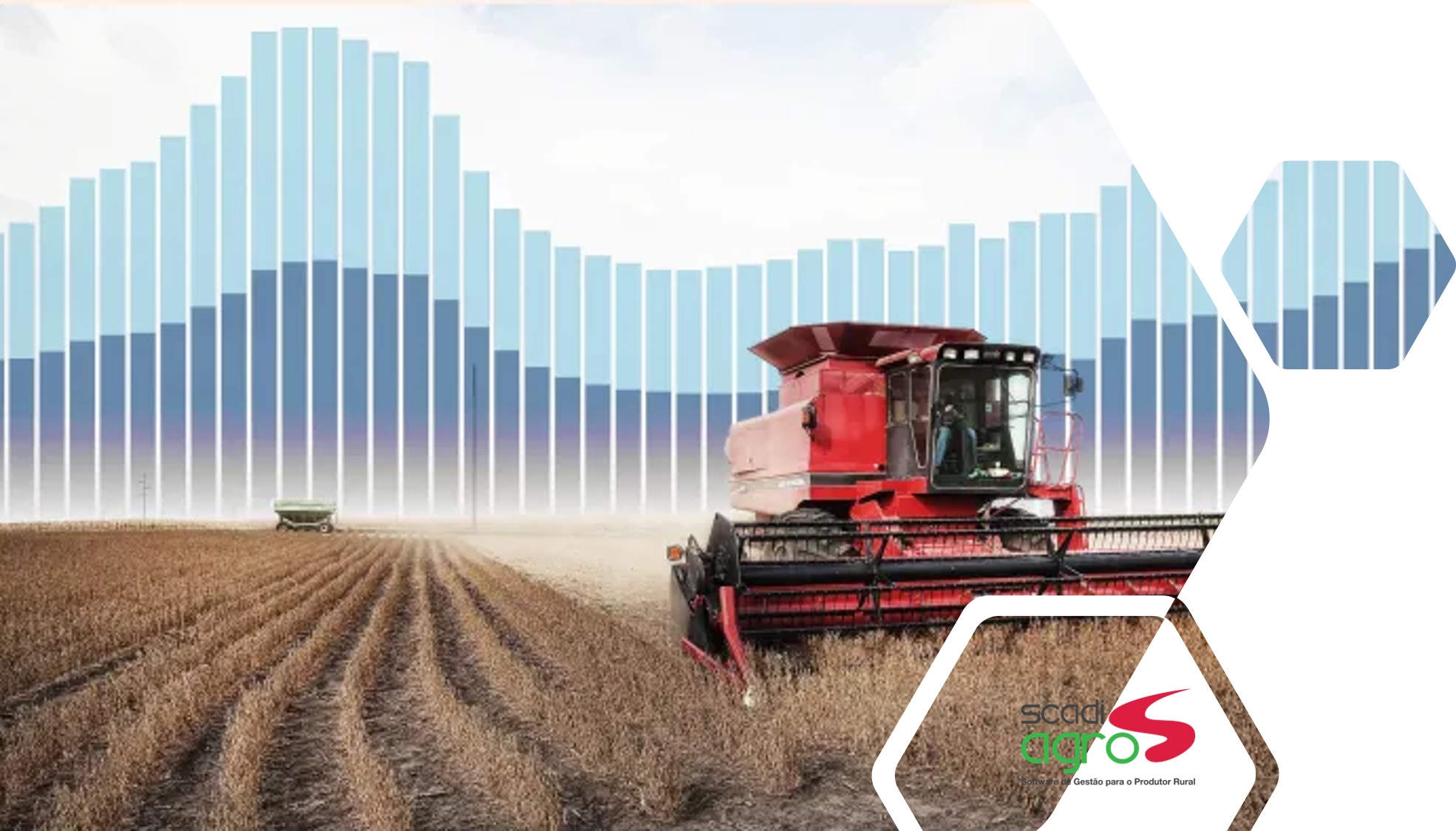 Como funciona o crédito rural? Explicamos tudo para você! - SCADIAgro